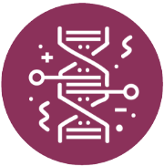 About Us - Yodelar.com