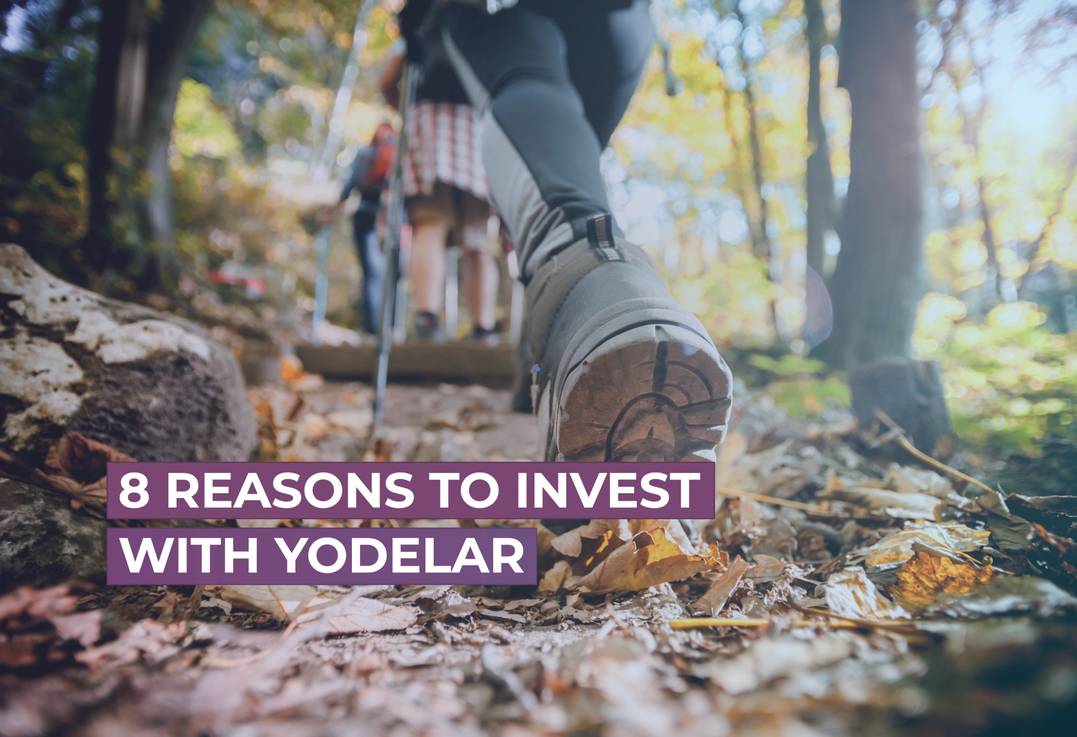 8 Reasons To Invest With Yodelar