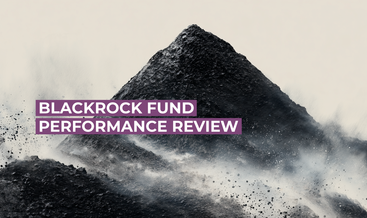 BlackRock Fund Performance Review